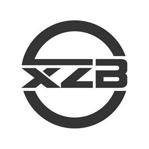 XZB MEXICO SA DE CV 1 Vacantes