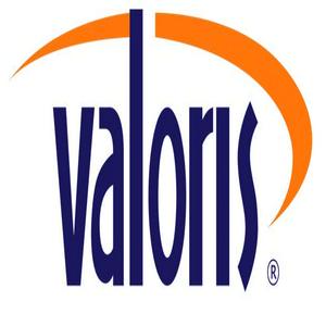 Valoris, S.A. de C.V. 1 Vacantes